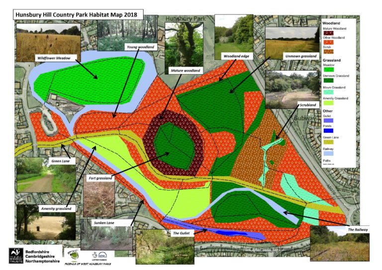 Habitat Survey & Species Listings – Welcome to Friends of West Hunsbury ...